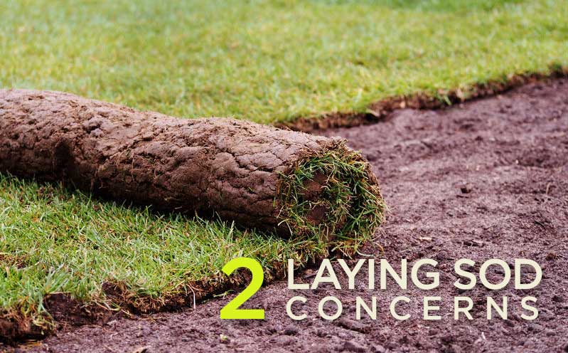 Laying new sod where previous lawn has died